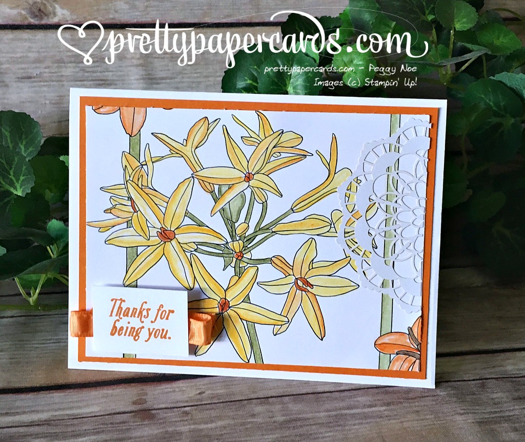 Coloring Inside the Lines! - Pretty Paper Cards