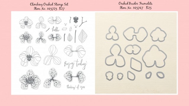 Enjoy Today With the Climbing Orchid Stamp Set! - Pretty Paper Cards