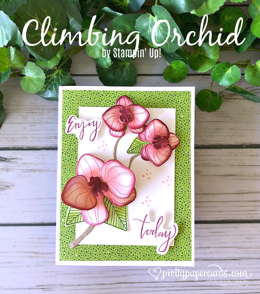Enjoy Today With the Climbing Orchid Stamp Set! - Pretty Paper Cards