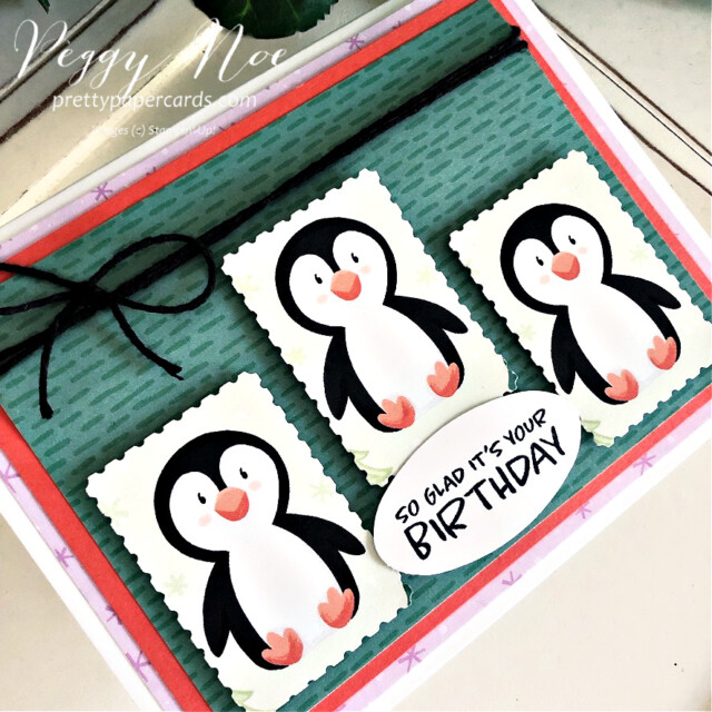 NEW VIDEO: Penguins ~ Penguins ~ Penguins! - Pretty Paper Cards